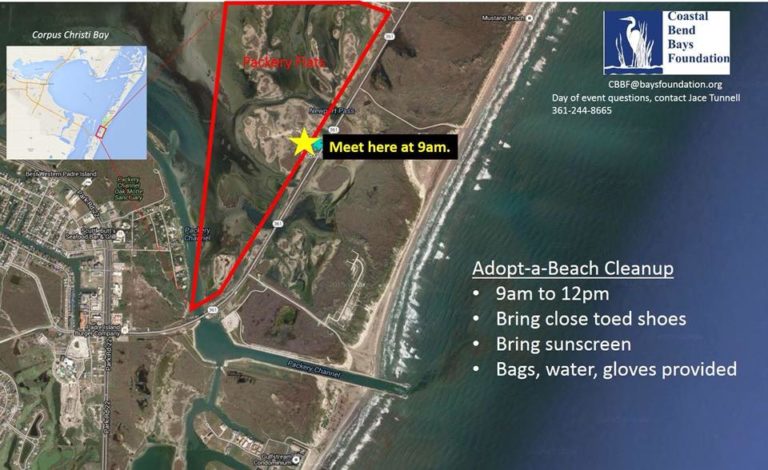 Coastal Cleanups – Texas GLO Adopt-A-Beach | Coastal Bend Bays Foundation
