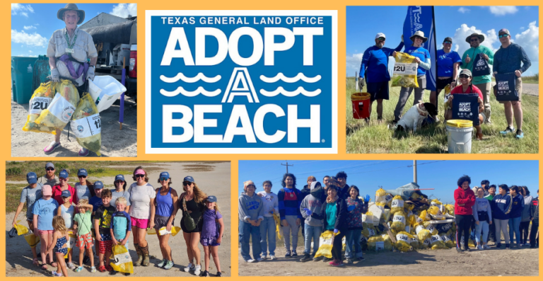 Coastal Cleanups – Texas GLO Adopt-A-Beach | Coastal Bend Bays Foundation