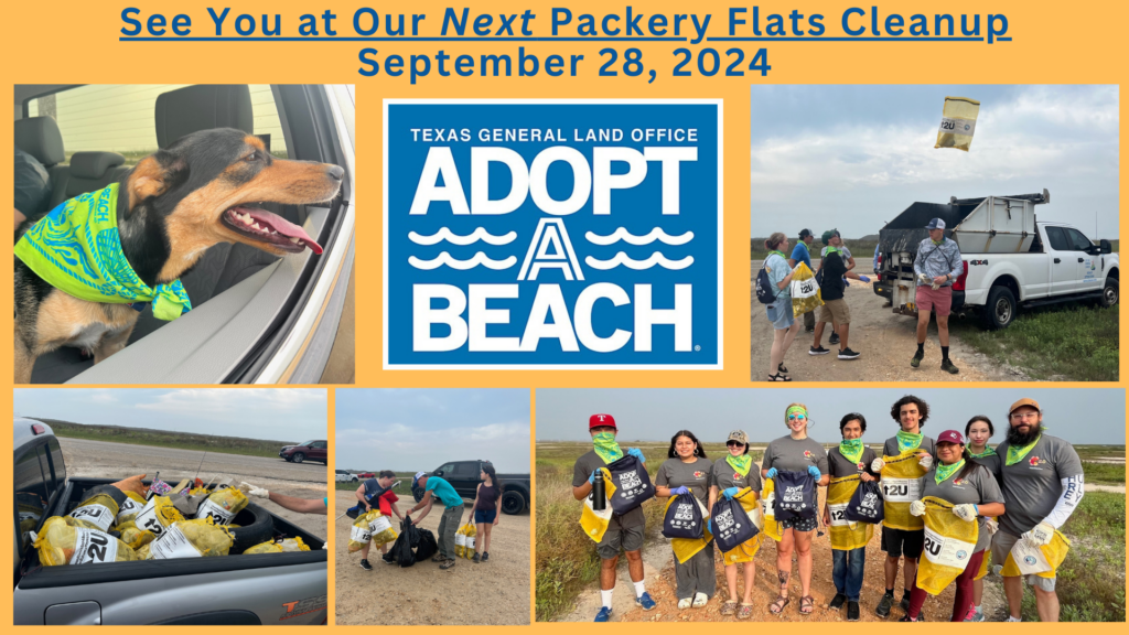 Coastal Cleanups – Texas GLO Adopt-A-Beach | Coastal Bend Bays Foundation