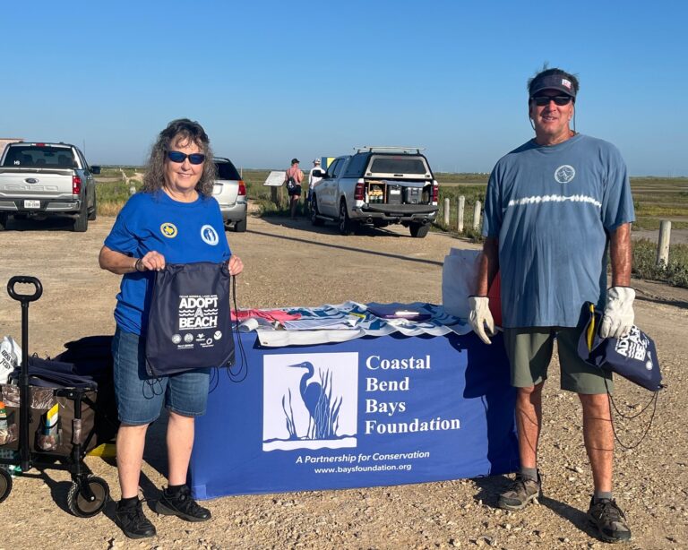 Coastal Cleanups – Texas GLO Adopt-A-Beach | Coastal Bend Bays Foundation